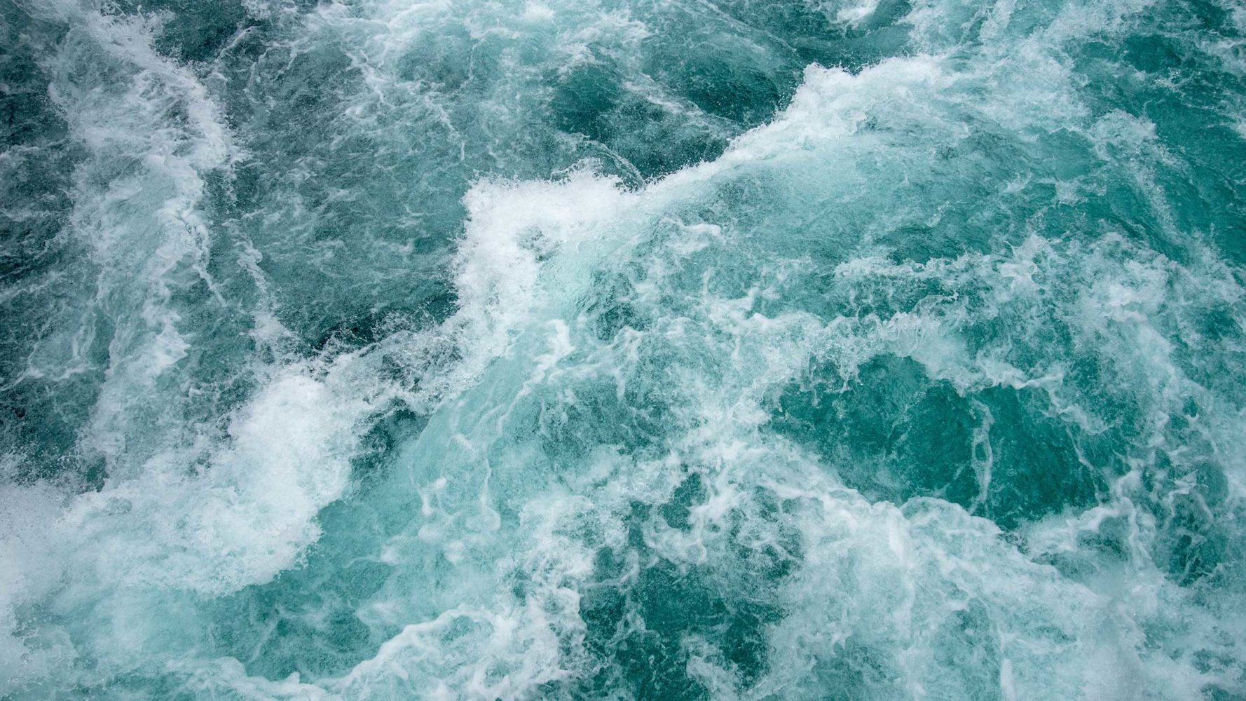 Wk-20-BG | Pathway Vineyard